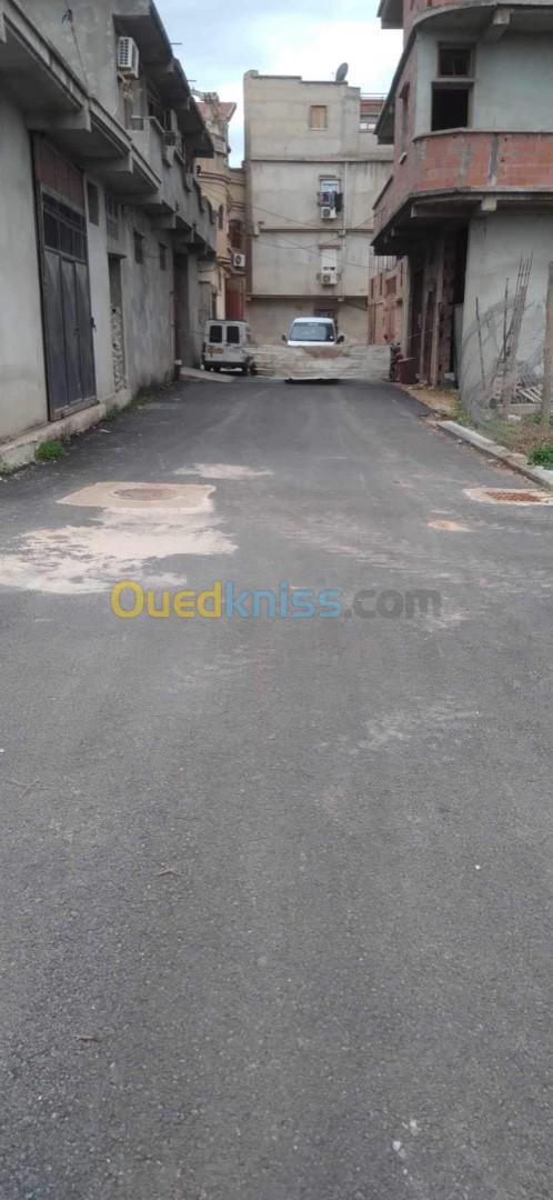 Vente Terrain Blida Ouled yaich - Blida Algérie