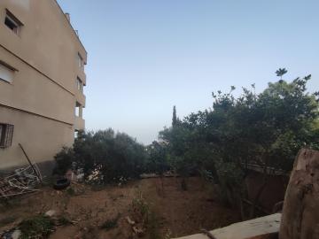 Vente Terrain Alger Alger centre Alger Alger centre - Ouedkniss.com ...