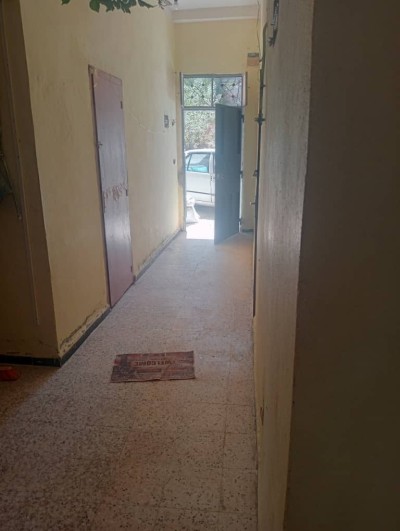 COLLO - Immobilier - Ouedkniss.com - Algérie