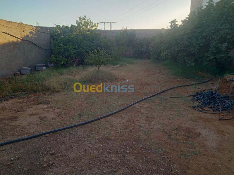 Sell Land Relizane Oued rhiou - Relizane Algeria