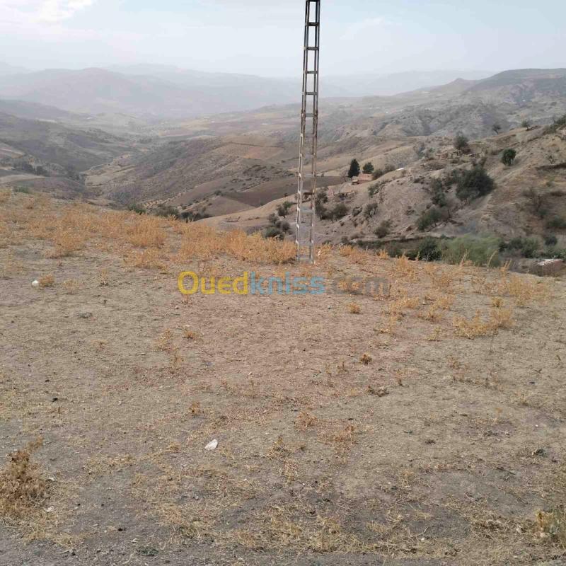 Vente Terrain Agricole Sétif Bougaa Sétif Bougaa - Ouedkniss.com - Algérie