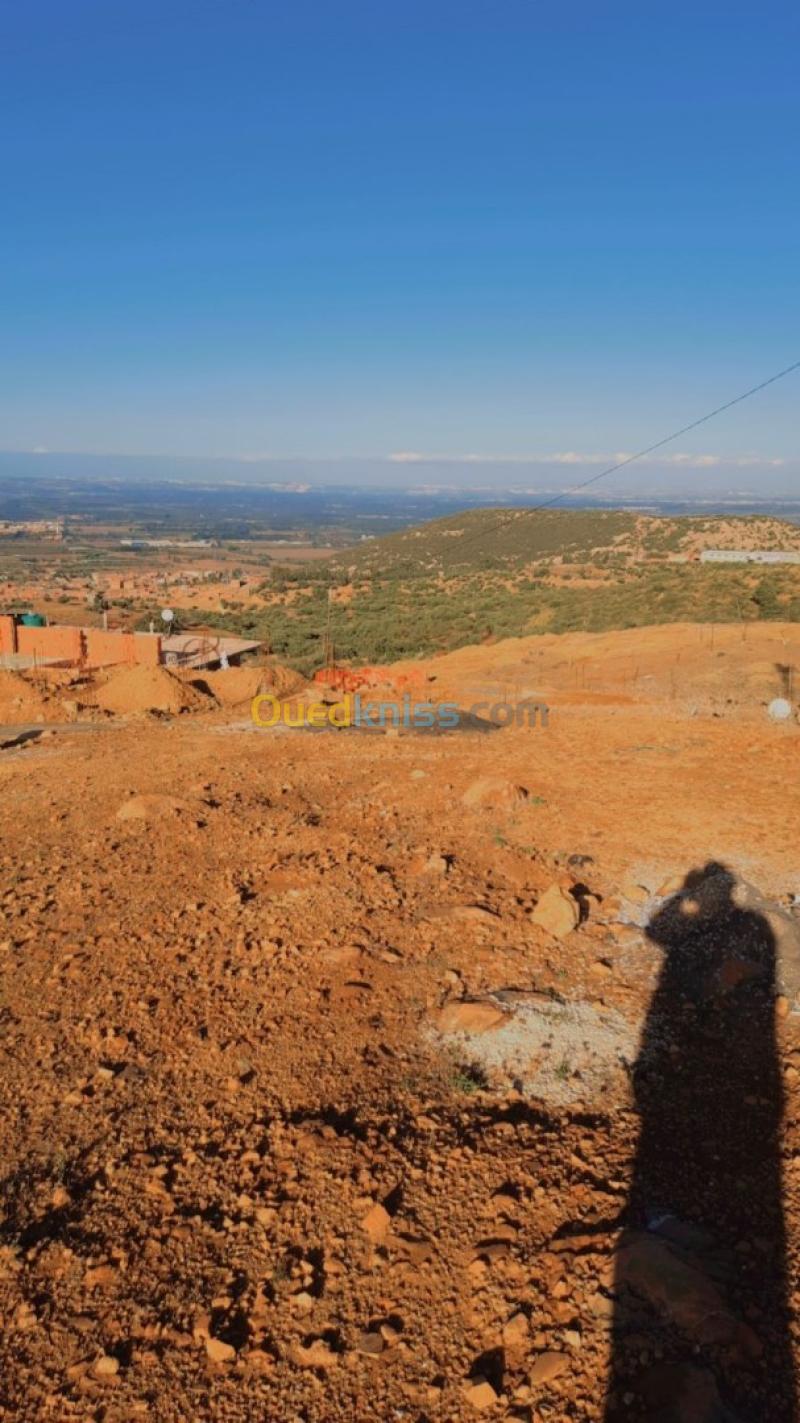 Vente Terrain Blida Mouzaia - Blida Algérie