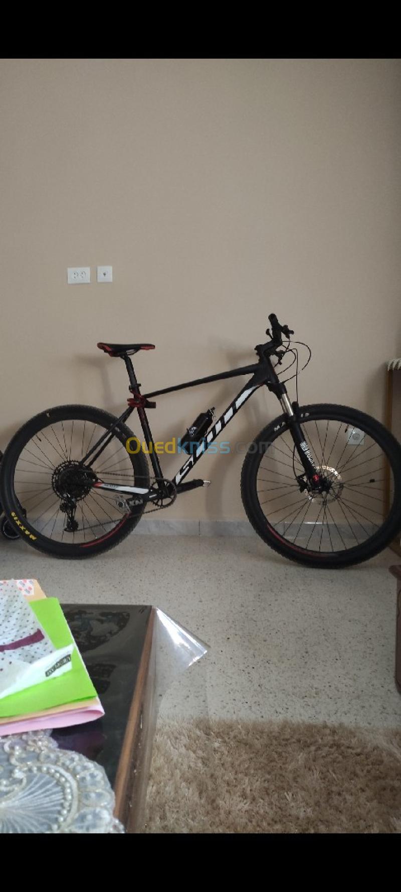 Velo Scott - Alger Algérie