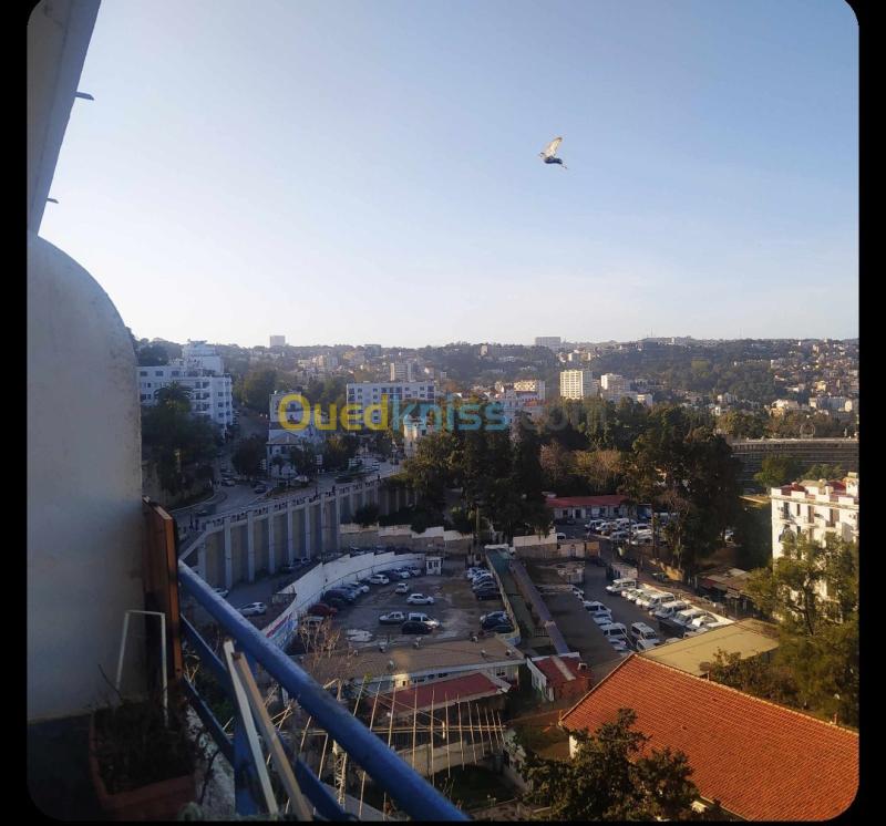 Location Appartement F3 Alger El mouradia - Alger Algérie