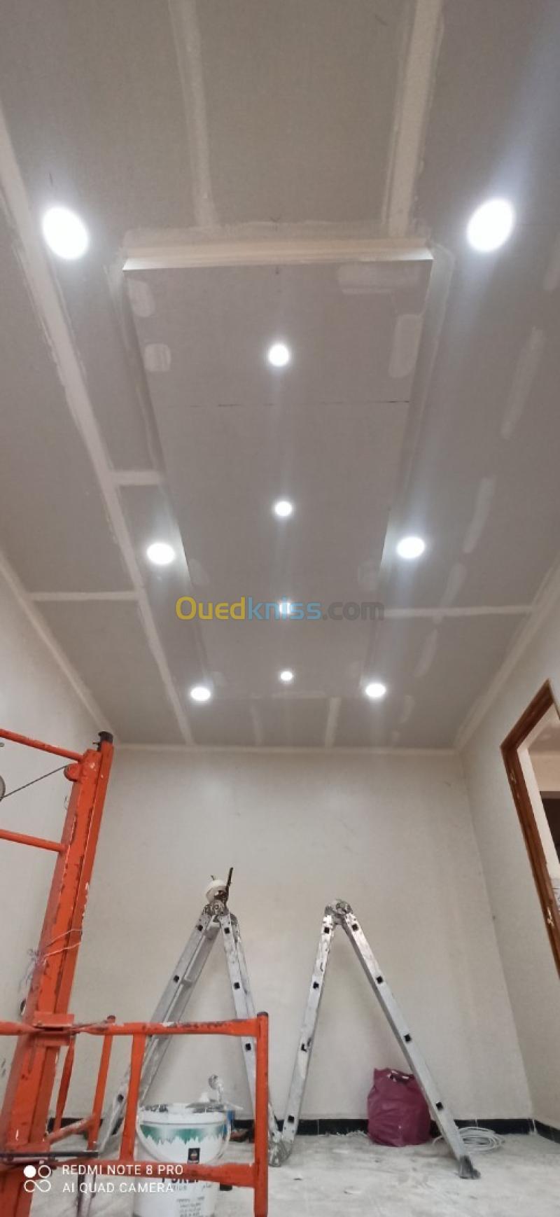 Pose faux plafond en ba13 Alger Birtouta - Ouedkniss.com - Algérie