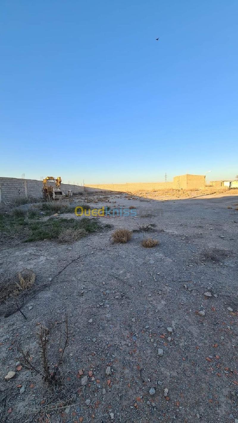 Vente Terrain Sidi Bel Abbès Sidi bel abbes - Sidi Bel Abbès Algérie