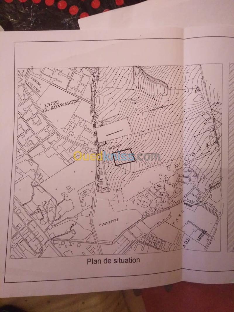 Vente Terrain Chlef Chettia - Chlef Algérie