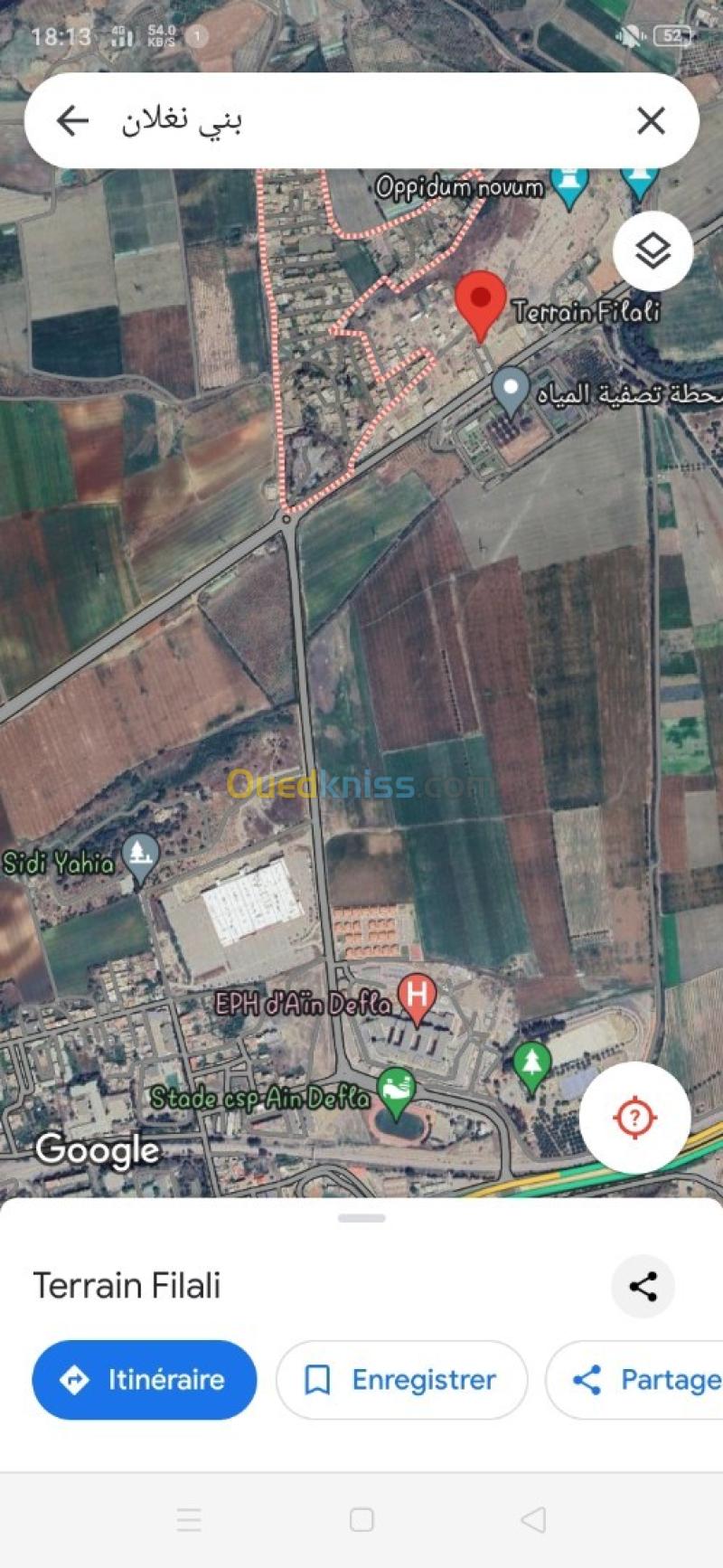 Vente Terrain Aïn Defla Ain defla Aïn Defla Ain defla - Ouedkniss.com ...